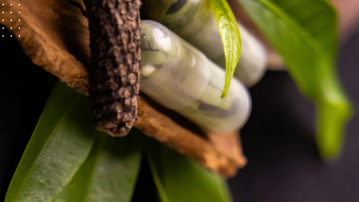 PILLS COLLECTION – Aloe Man Enterprise